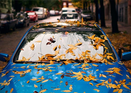 Vehicle Storage | Self Storage Sydney